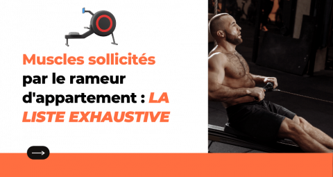 Quels Muscles Fait Travailler Le Rameur